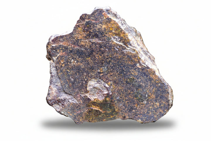 Explore Unique Meteorites for Collecting | Buy Meteorite LLC