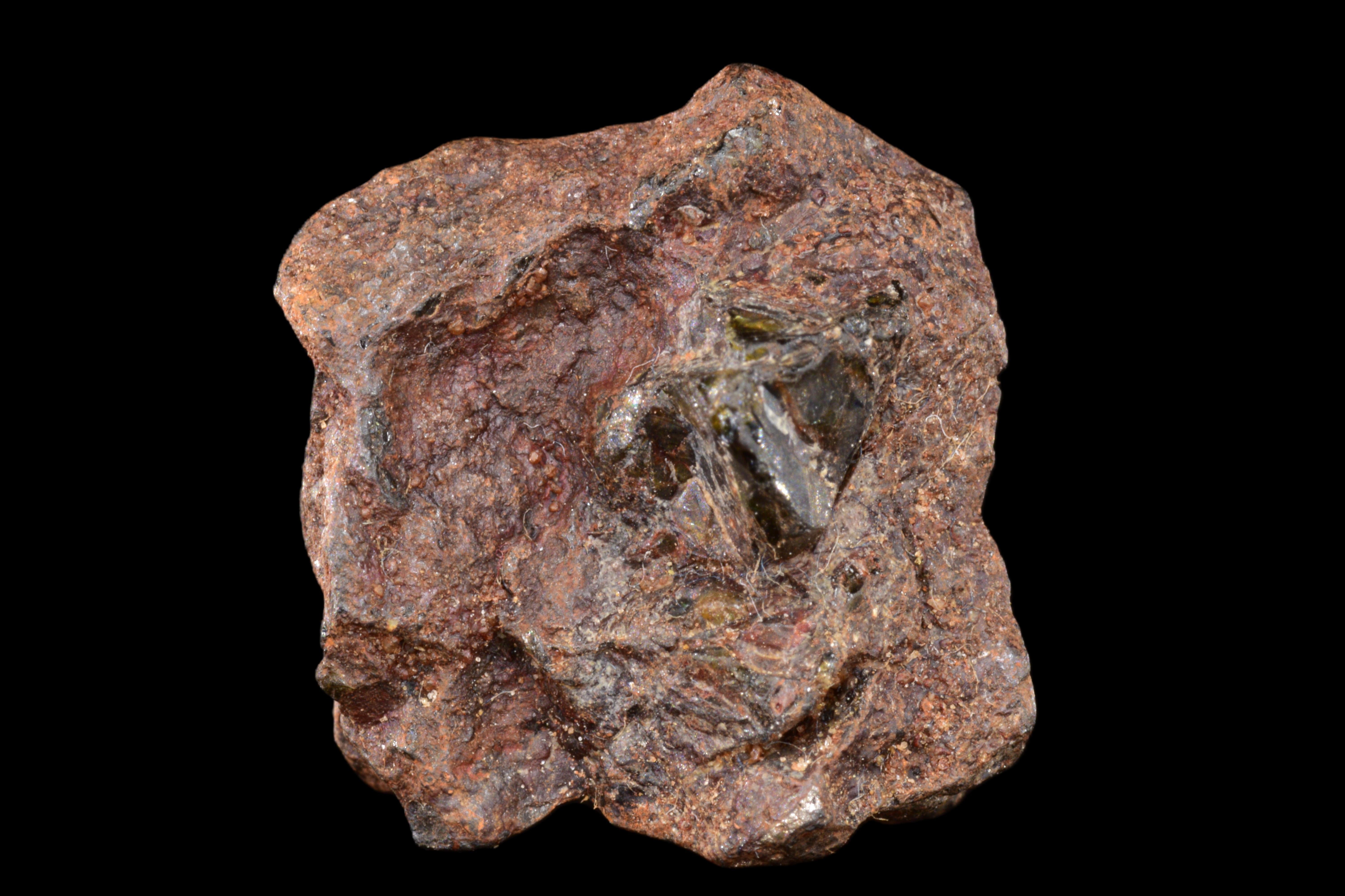 NWA 15971 Pallasite PMG Meteorite for Sale 5.23 G | Buy Meteorite, LLC ...